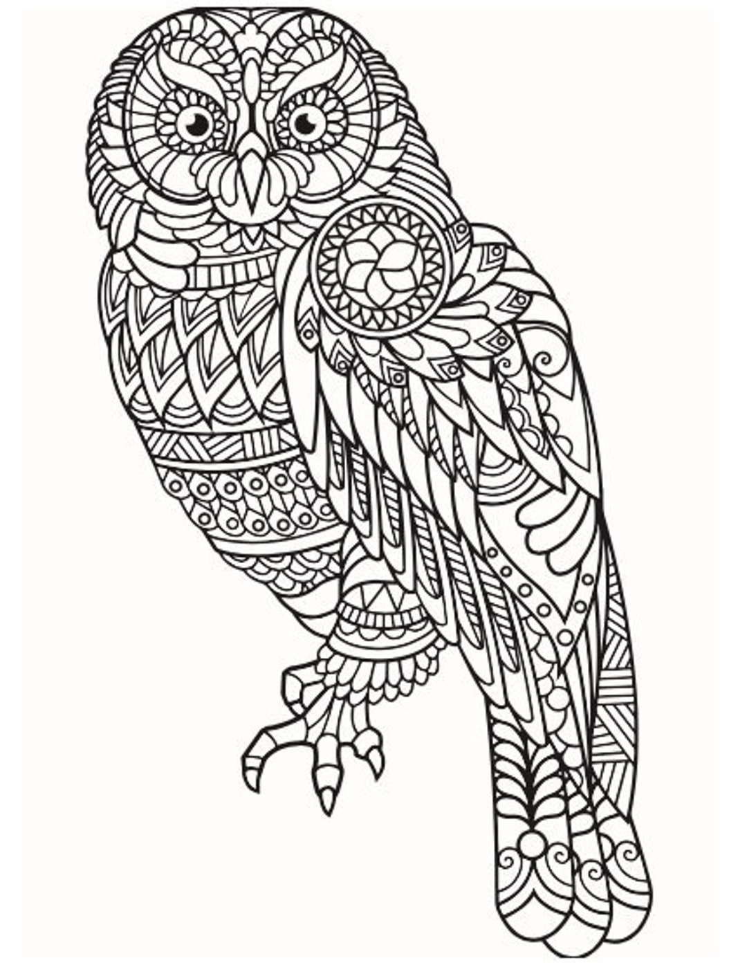 Animal Coloring Pages - Etsy
