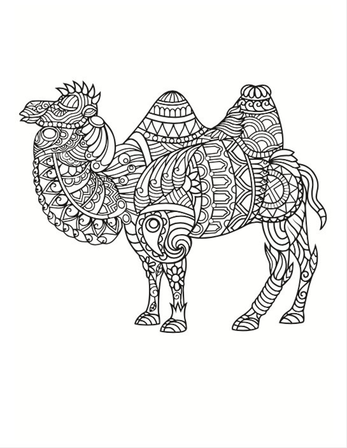 Animal Coloring Pages - Etsy