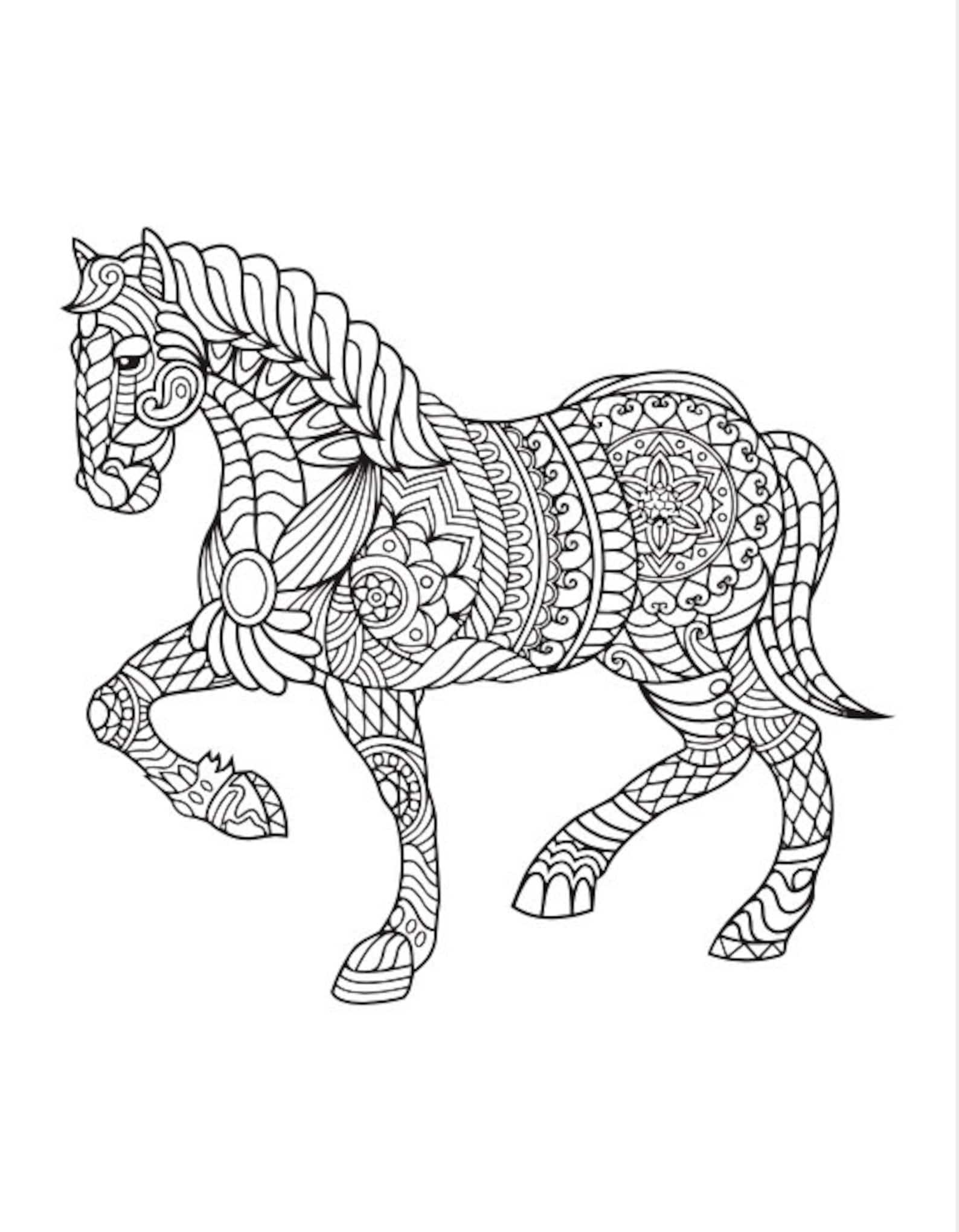 Animal Coloring Pages - Etsy