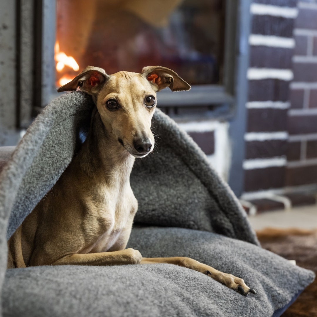 DOG SNUGGLY BED, Antiallergic, Merino Wool Dog Bedding, Dog Pillow With ...