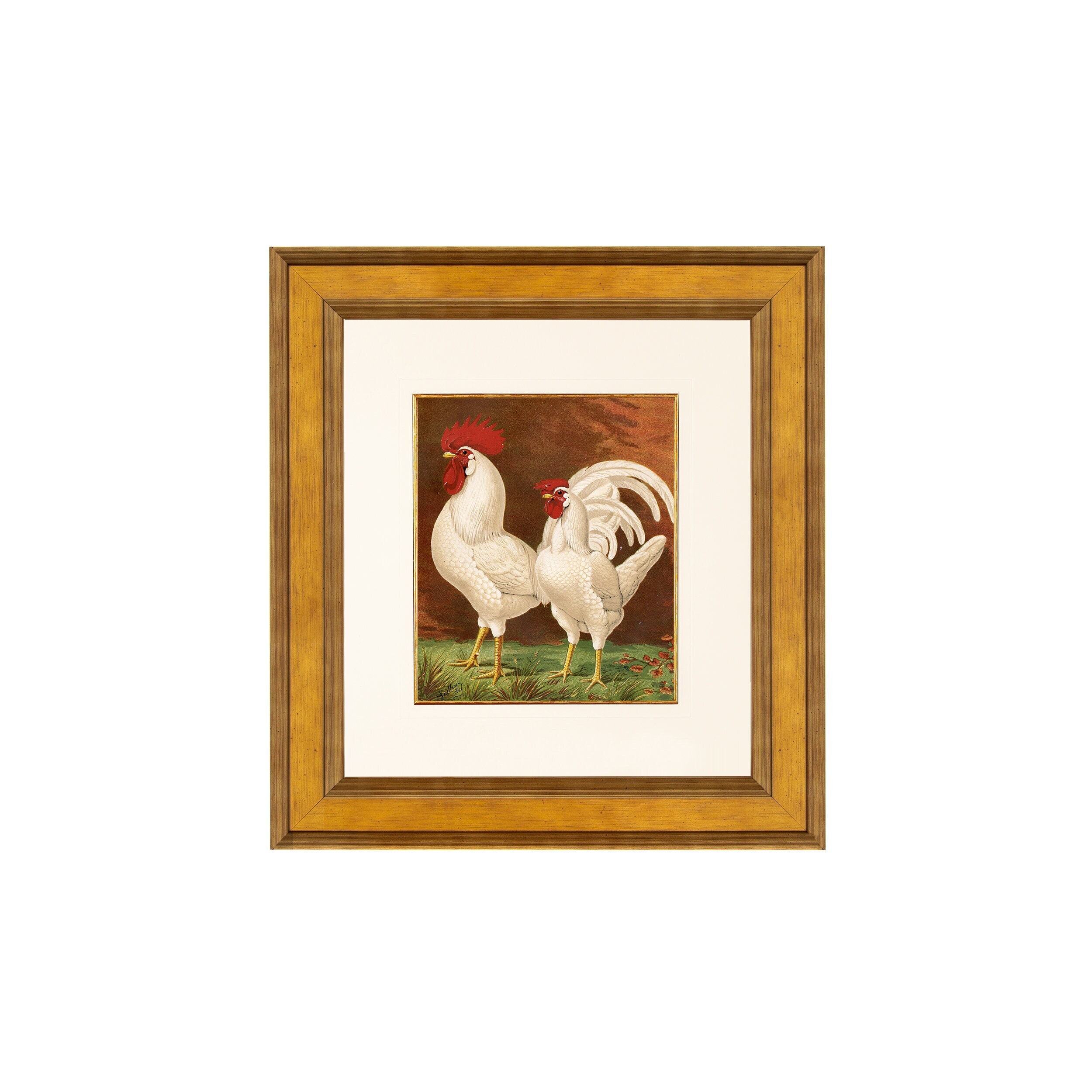 Chickens Art Print Gifts Antique Chickens Wall Art Luxury Framed Fine ...
