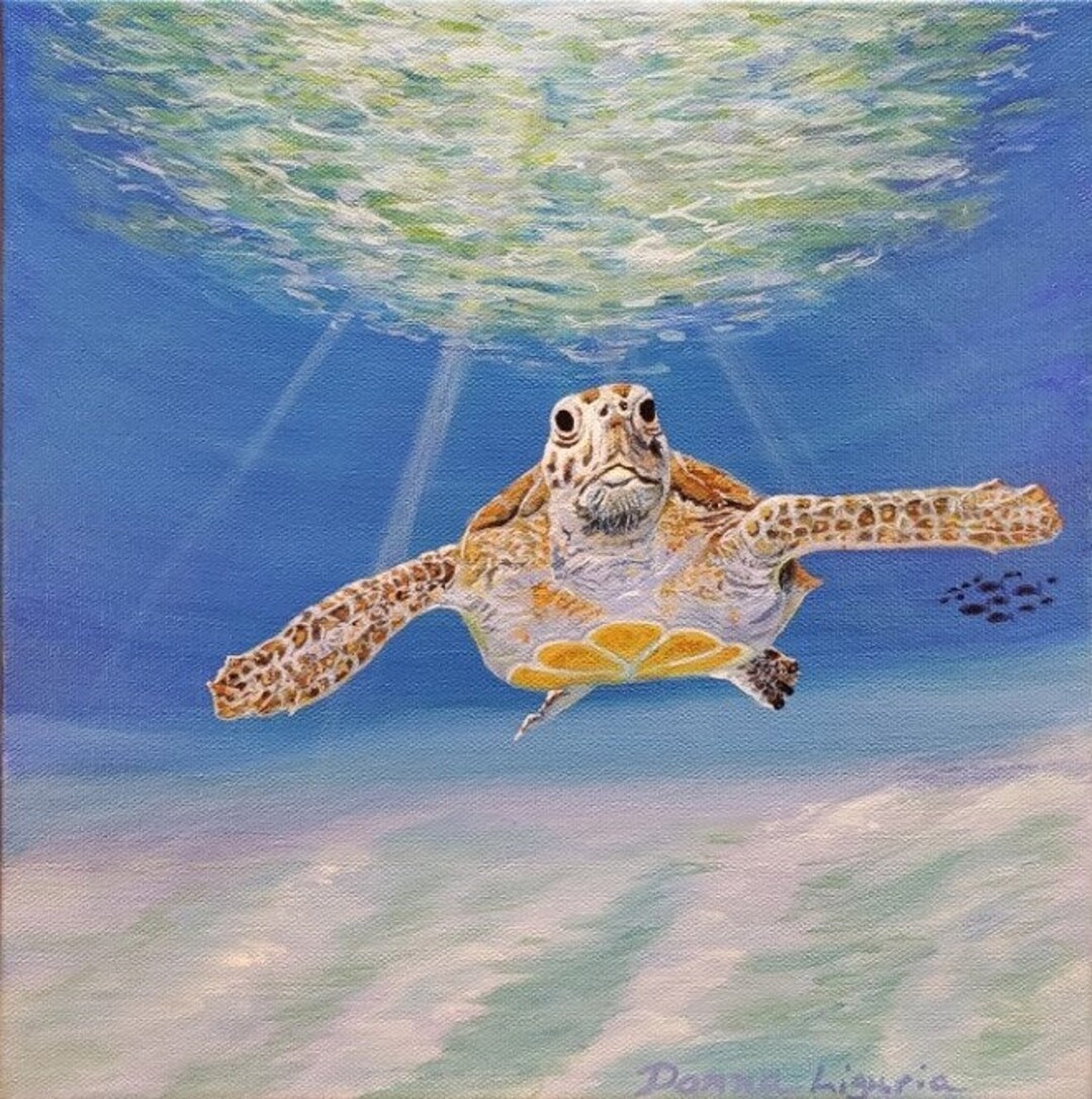 Sea Turtle, Sea Turtle Print, Underwater Sea Turtle, Turtle Art, Sea ...