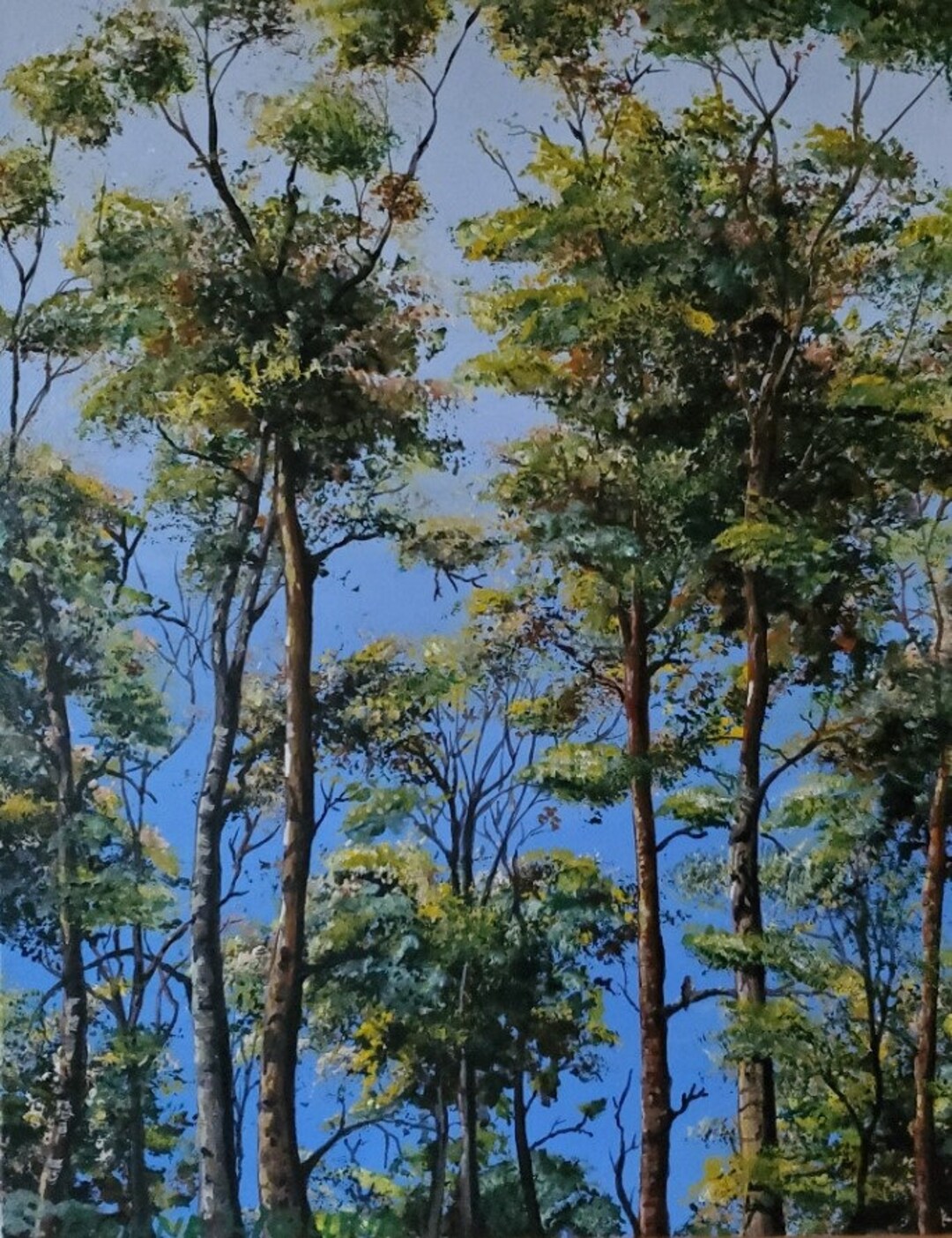 Tree Branches Print, Tree Original Art, Woods, Forest, Tree Branches ...