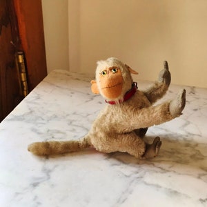 monkey with pink bum