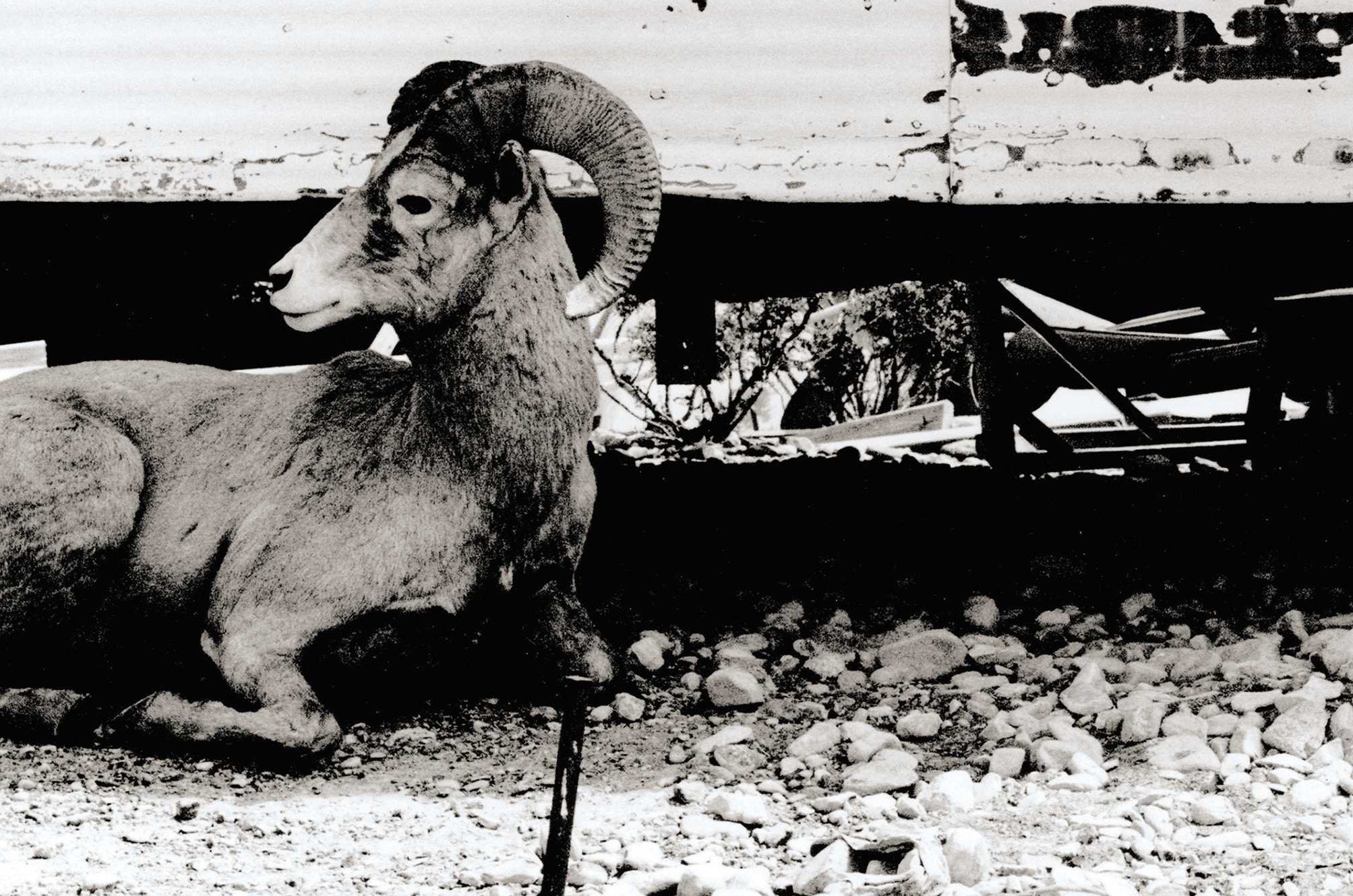 The Killers Sam's Town Album Cover Poster: Rock Wall Art - Etsy