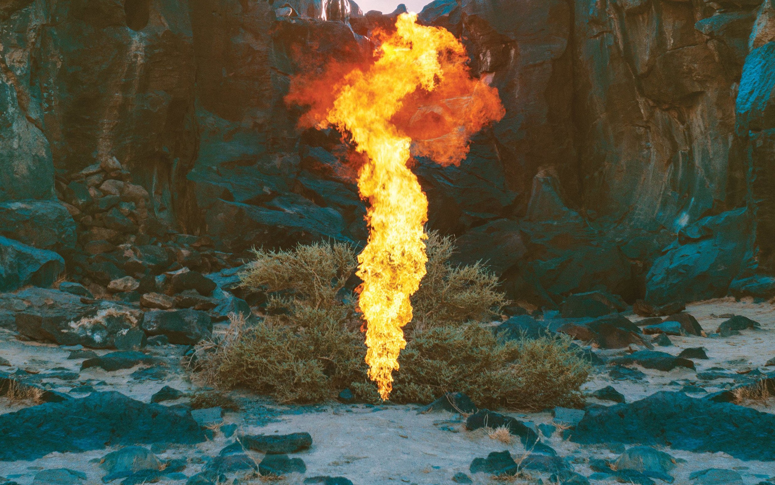 Bonobo Migration Album Cover Poster, Bonobo Poster, Album Cover Posters ...