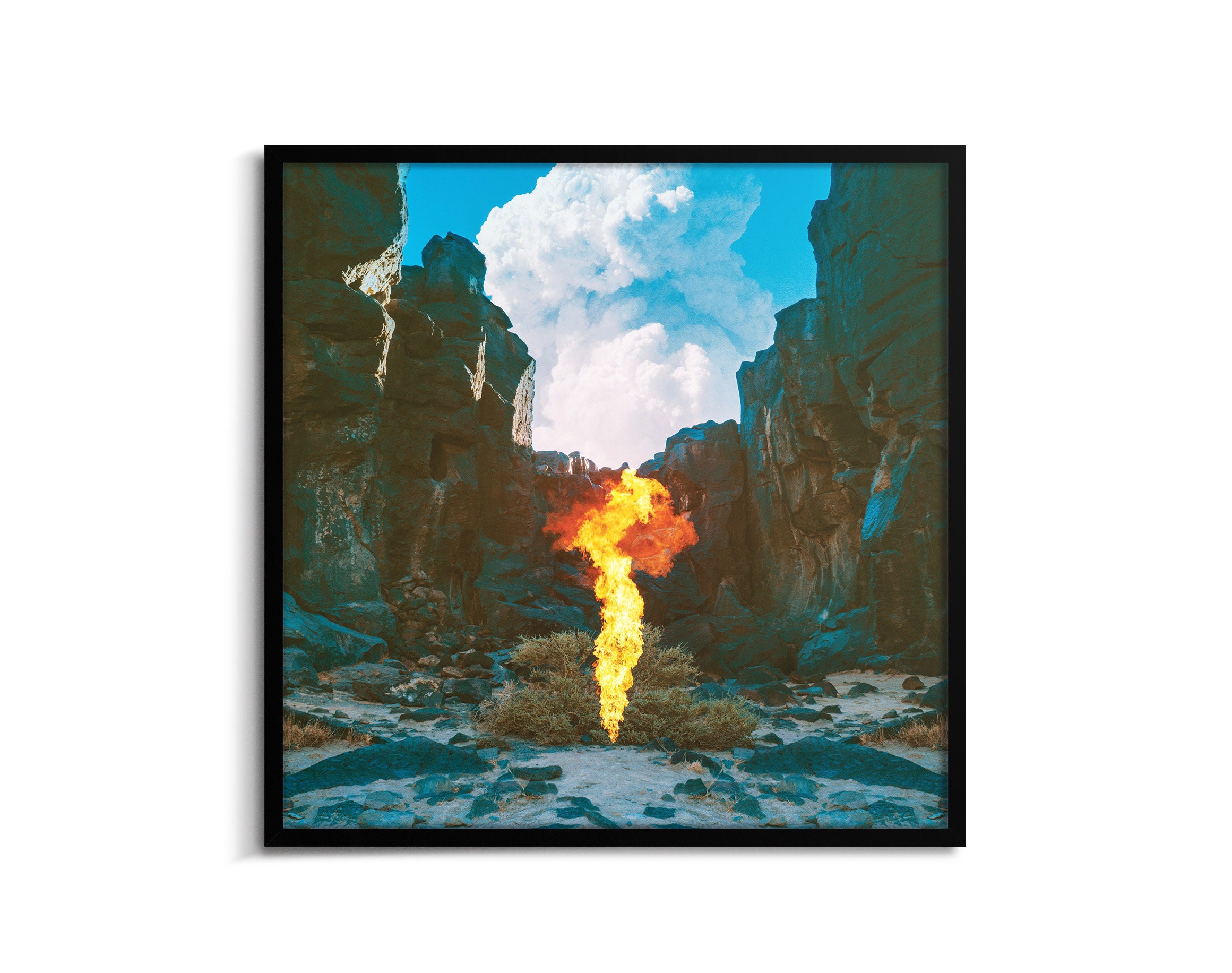 Bonobo Migration Album Cover Poster, Bonobo Poster, Album Cover Posters ...