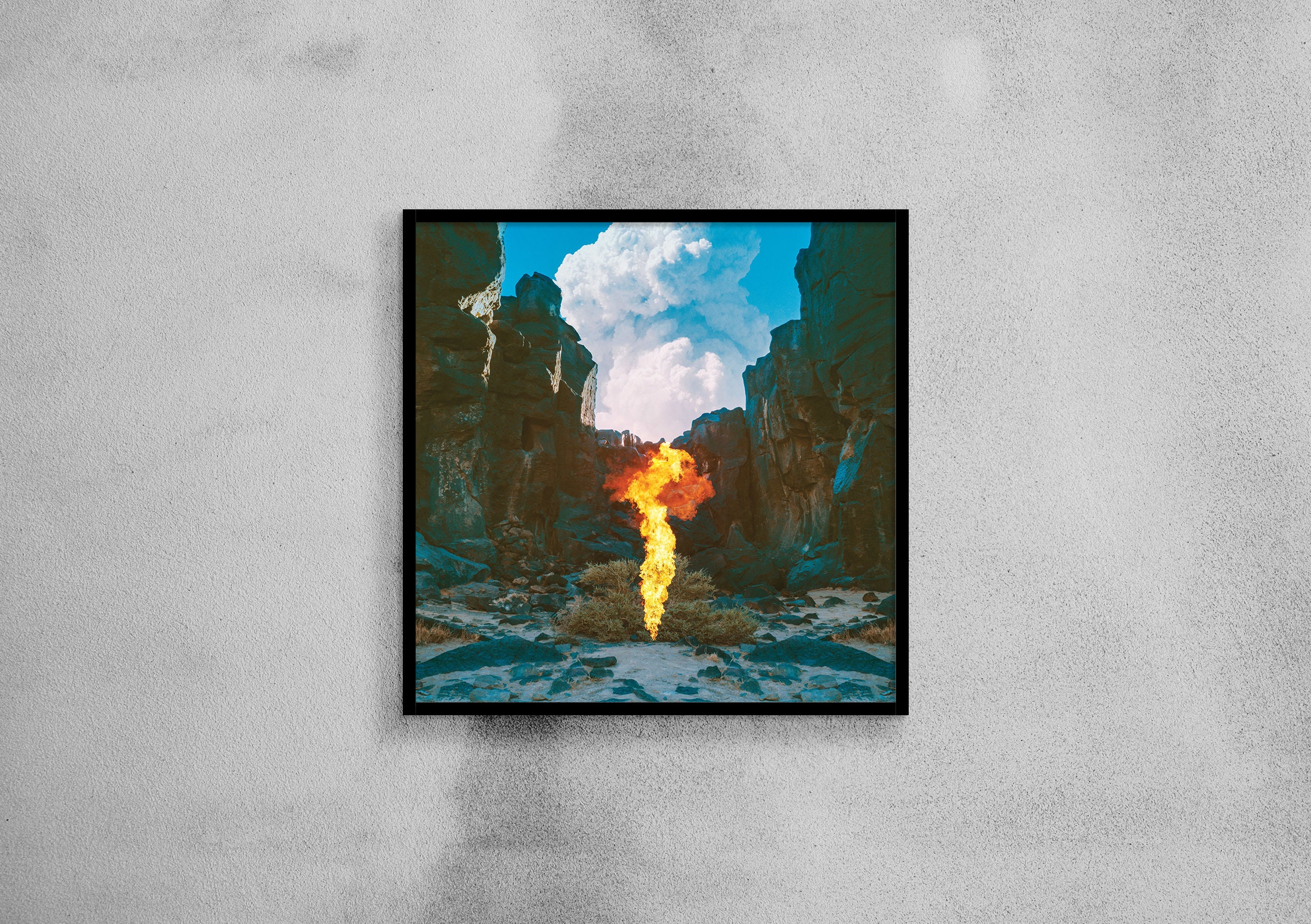 Bonobo Migration Album Cover Poster, Bonobo Poster, Album Cover Posters ...