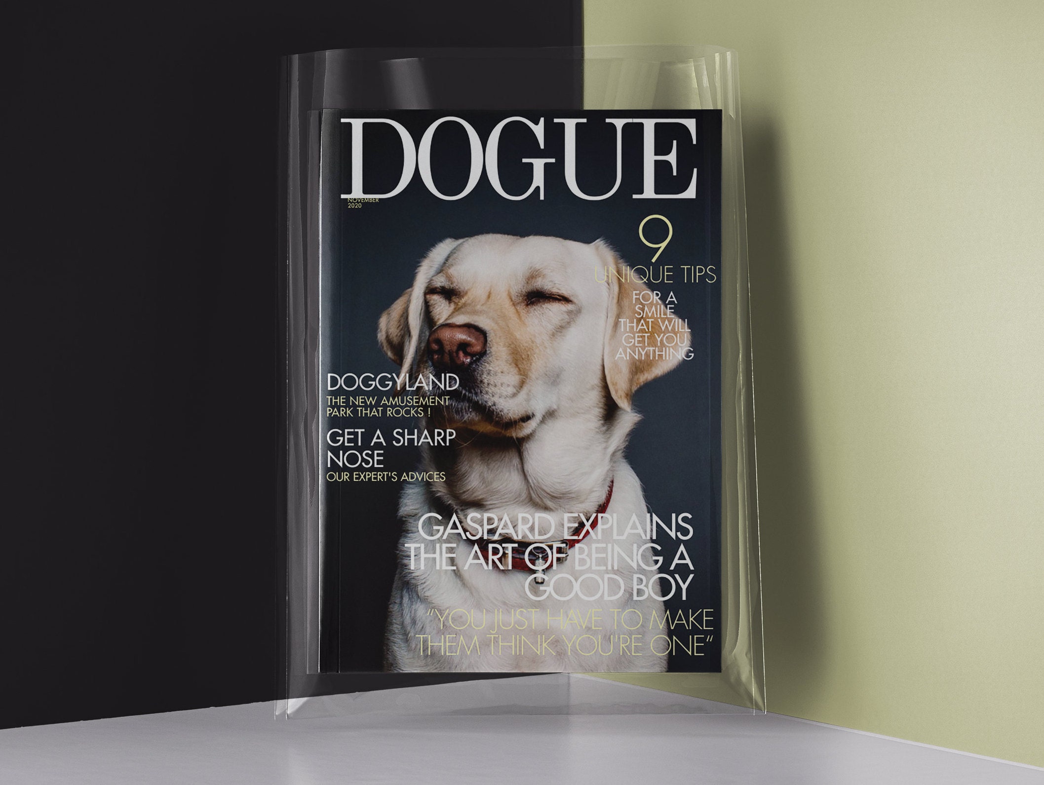 DOGUE: Custom cover. Your dog on the front page of a trendy | Etsy