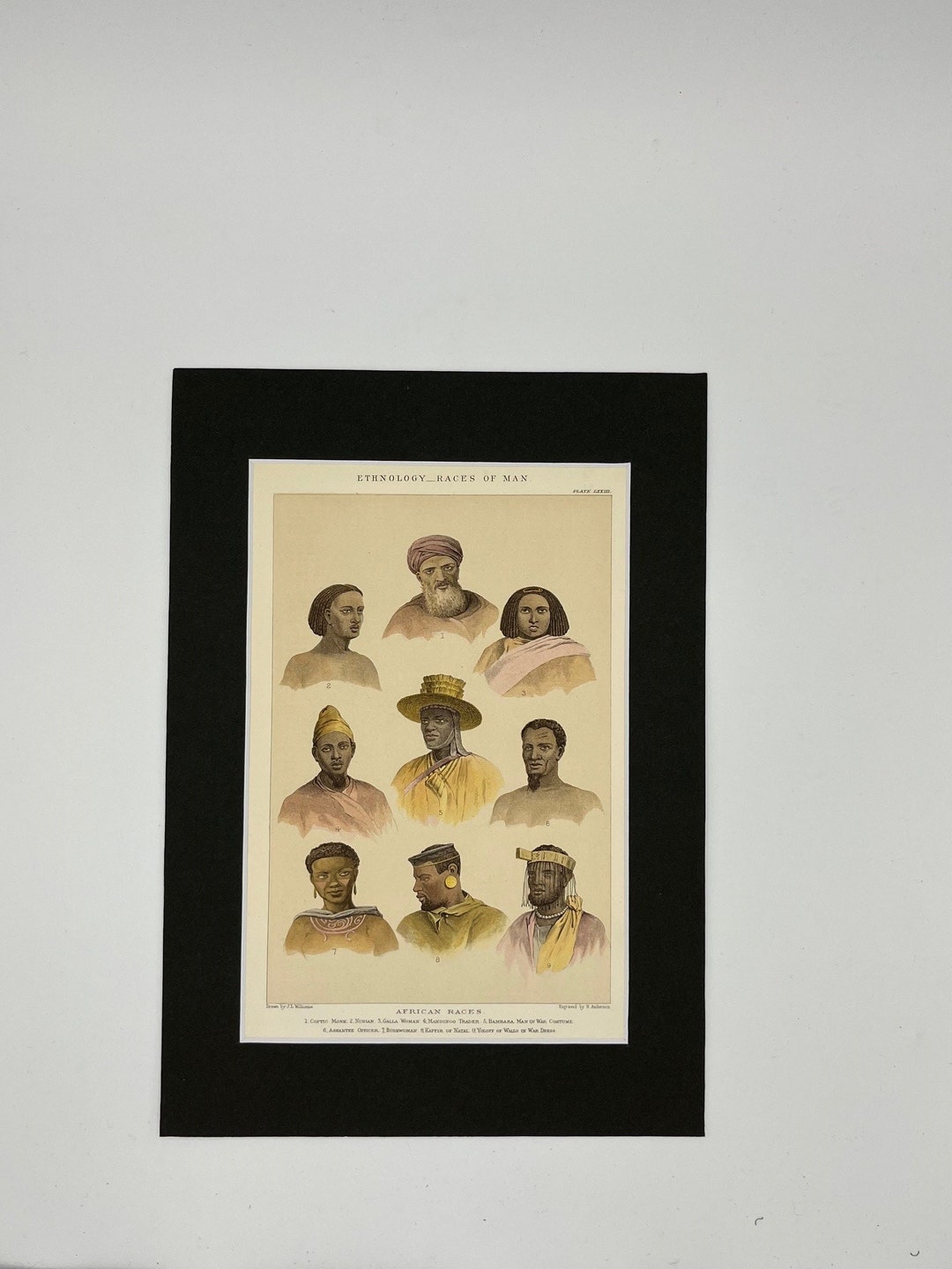 Ethnology - African Races - Antique Print 1883. - Etsy