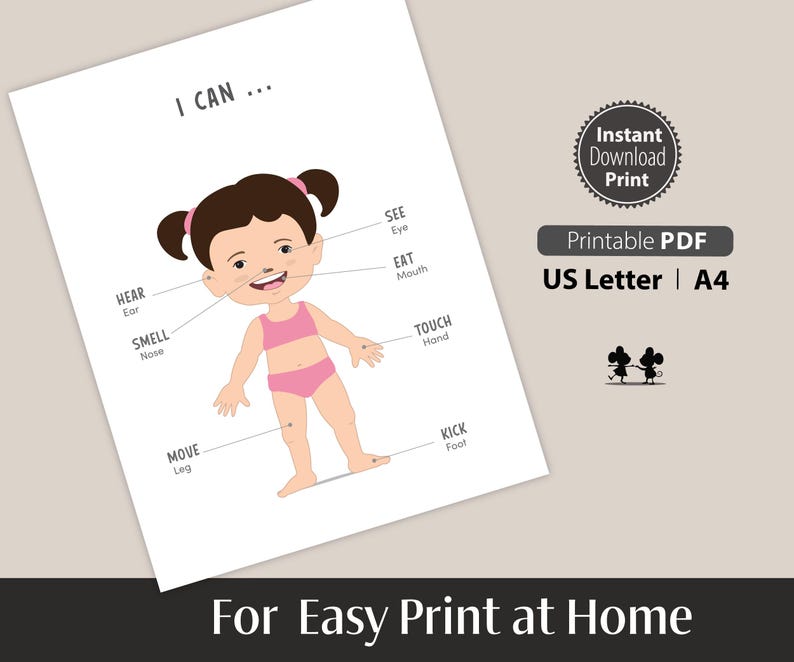Cute Girl Anatomy Posters, Preschool Girl Body Parts Printable, Girl ...