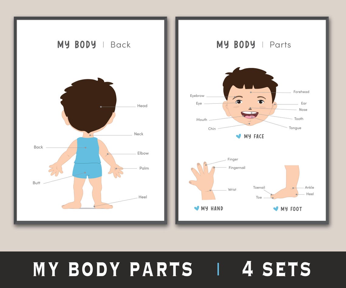 Boy Body Anatomy Wall Posters, Preschool Boy Body Parts Printable, Kids ...