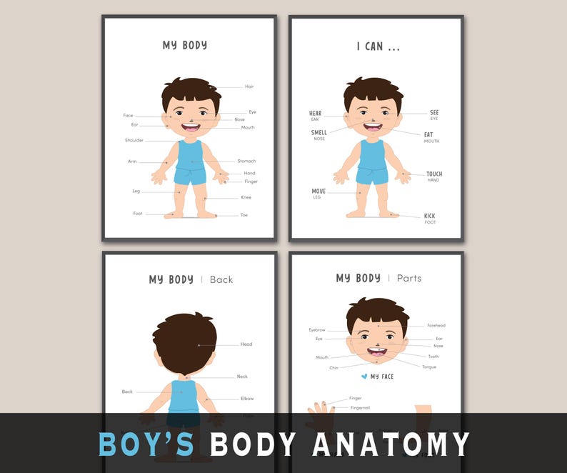 Boy Body Anatomy Wall Posters, Preschool Boy Body Parts Printable, Kids ...