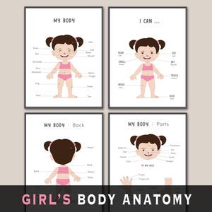 Cute Girl Anatomy Posters, Preschool Girl Body Parts Printable, Girl ...