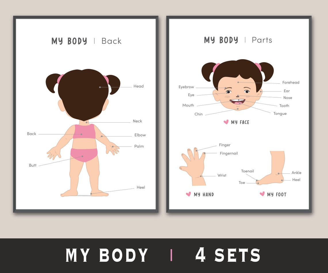 Cute Girl Anatomy Posters, Preschool Girl Body Parts Printable, Girl ...