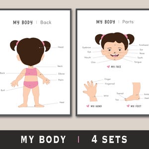 Cute Girl Anatomy Posters, Preschool Girl Body Parts Printable, Girl ...