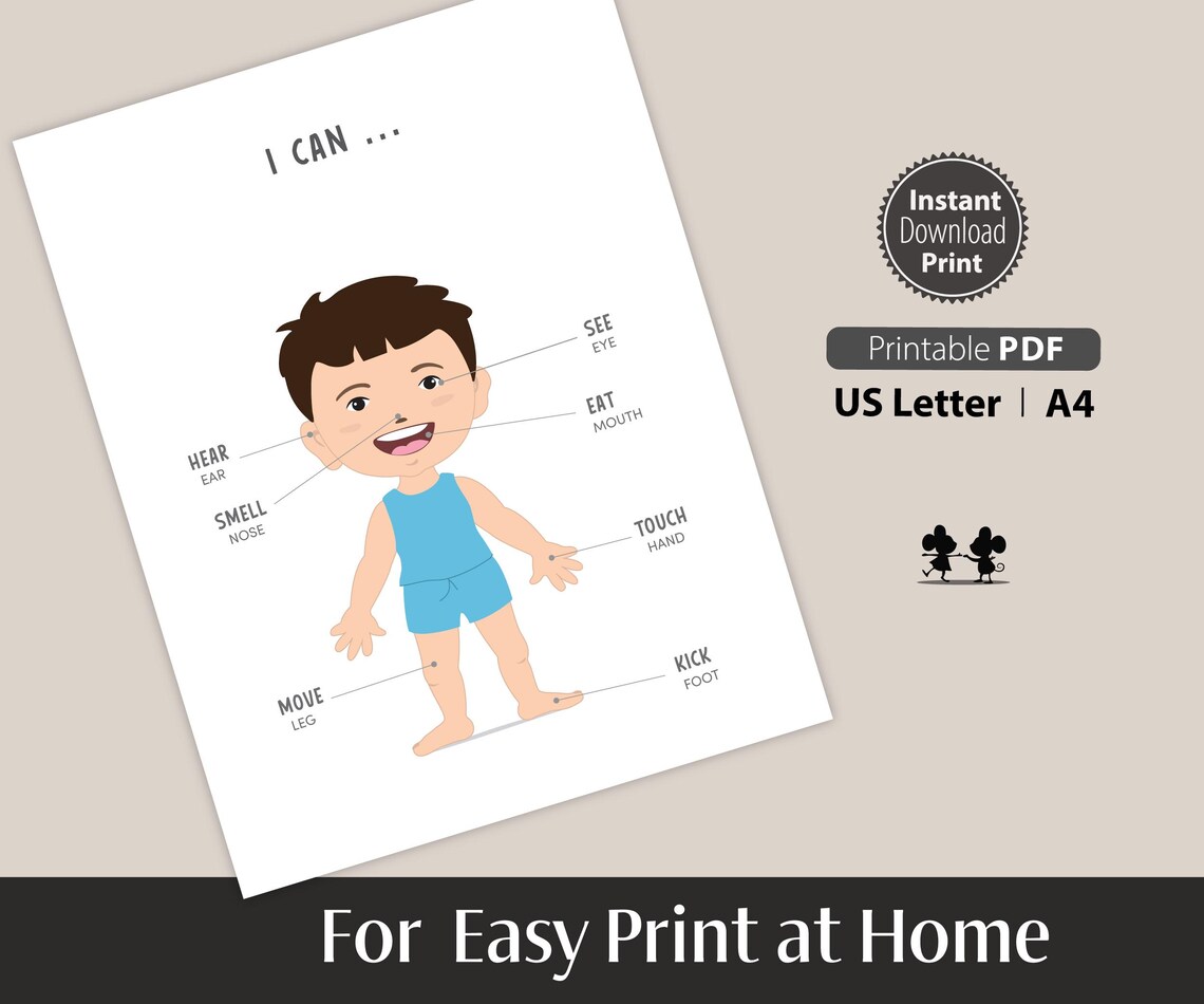 Boy Body Anatomy Wall Posters, Preschool Boy Body Parts Printable, Kids ...