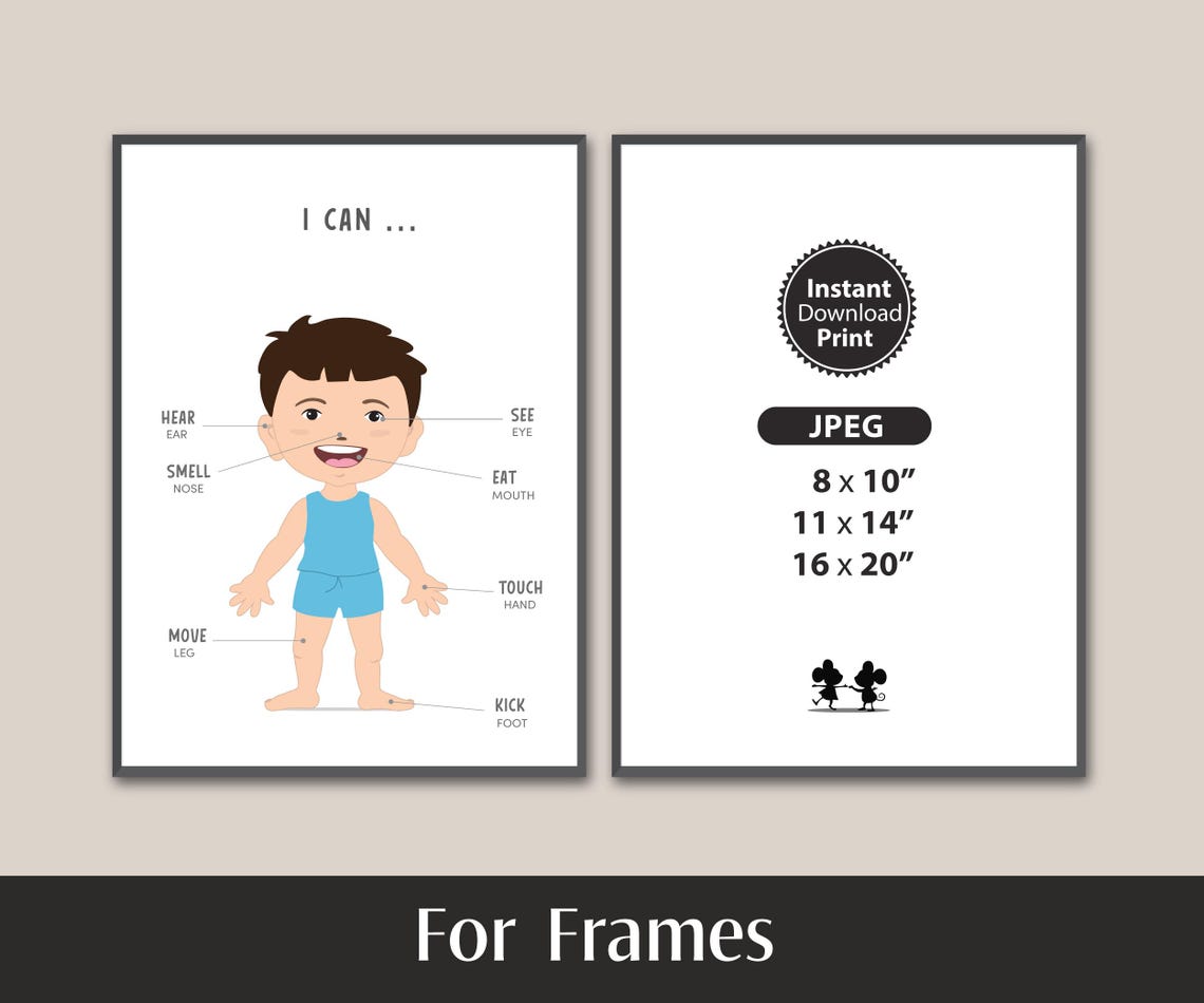 Boy Body Anatomy Wall Posters, Preschool Boy Body Parts Printable, Kids ...