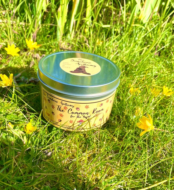 Common room for the loyal wizard inspired soy candle | Etsy