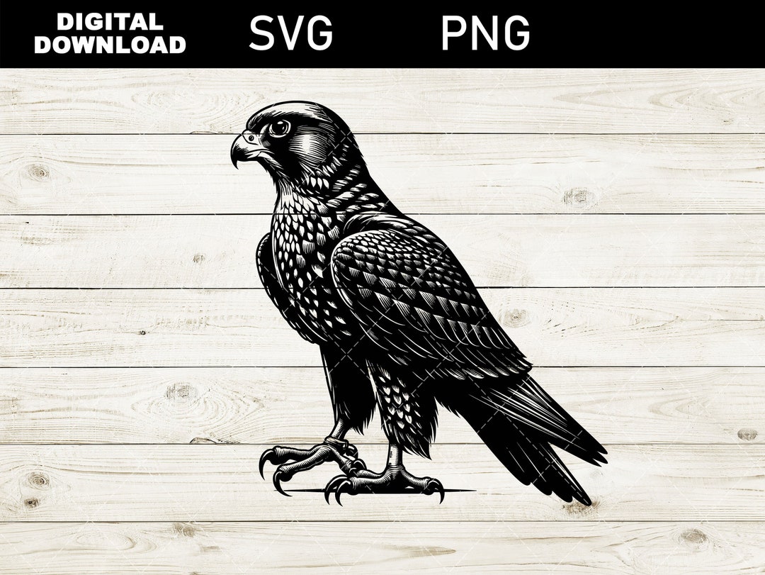 Falcon SVG & Png File, Falcon Svg, Bird Svg Png, Falcons Svg Mascot ...