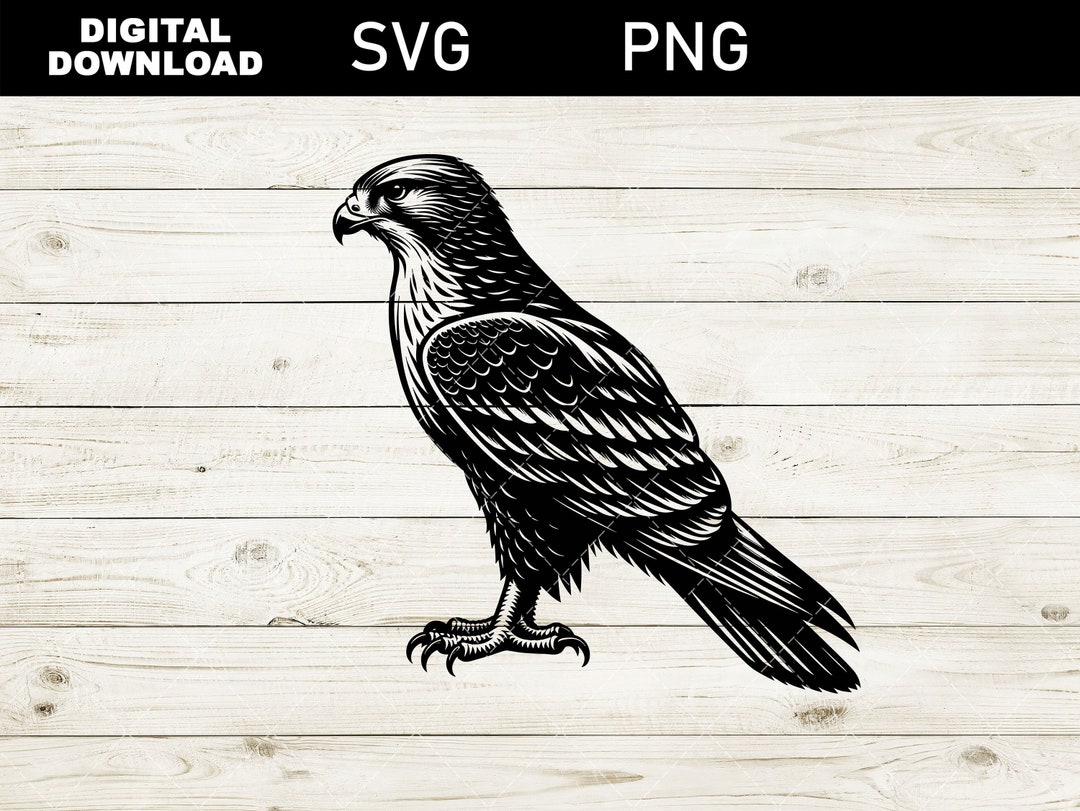Hawk Head SVG File, Hawk Svg, Bird Svg Png, Hawks Svg Mascot, Hawks ...