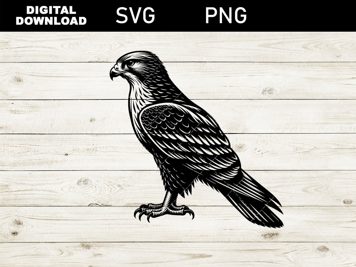 Hawk Head SVG File, Hawk Svg, Bird Svg Png, Hawks Svg Mascot, Hawks ...
