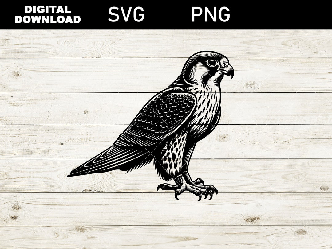 Falcon SVG & Png File, Falcon Svg, Bird Svg Png, Falcons School Spirit ...
