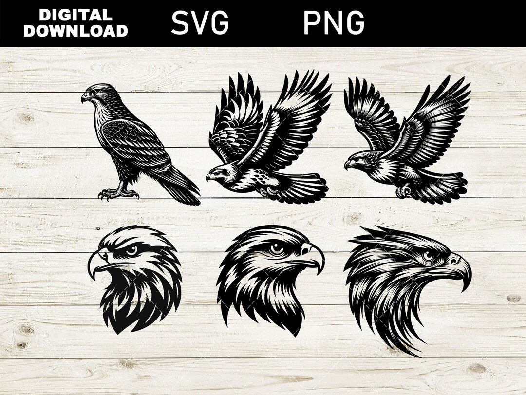 Hawk Bundle Svg & Png,hawk Head SVG , Hawk Svg, Bird Svg, Hawks Svg ...