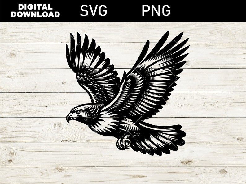 Hawk SVG & Png File, Hawk Svg, Bird Svg Png, Hawks Svg Mascot, Hawks ...