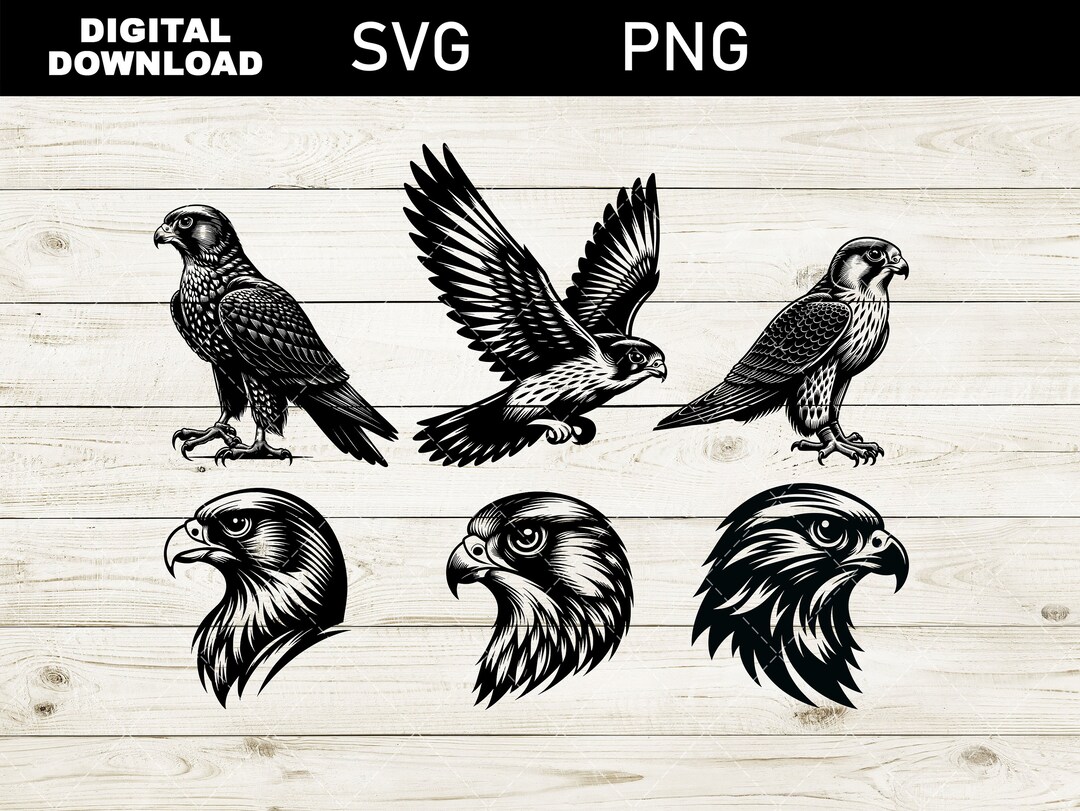 Falcon SVG & Png Bundle, Falcon Head Svg, Bird Svg Png, Falcons School ...