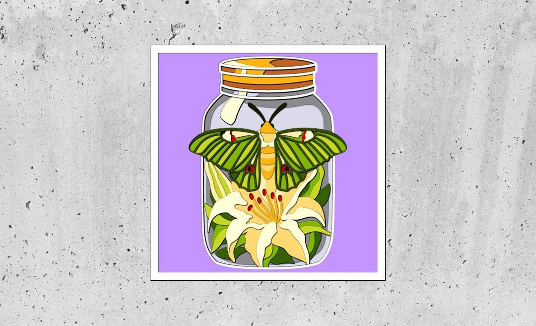 Magical 3D Butterflies in a Jar Shadow Box SVG File - DIY Papercraft - Etsy