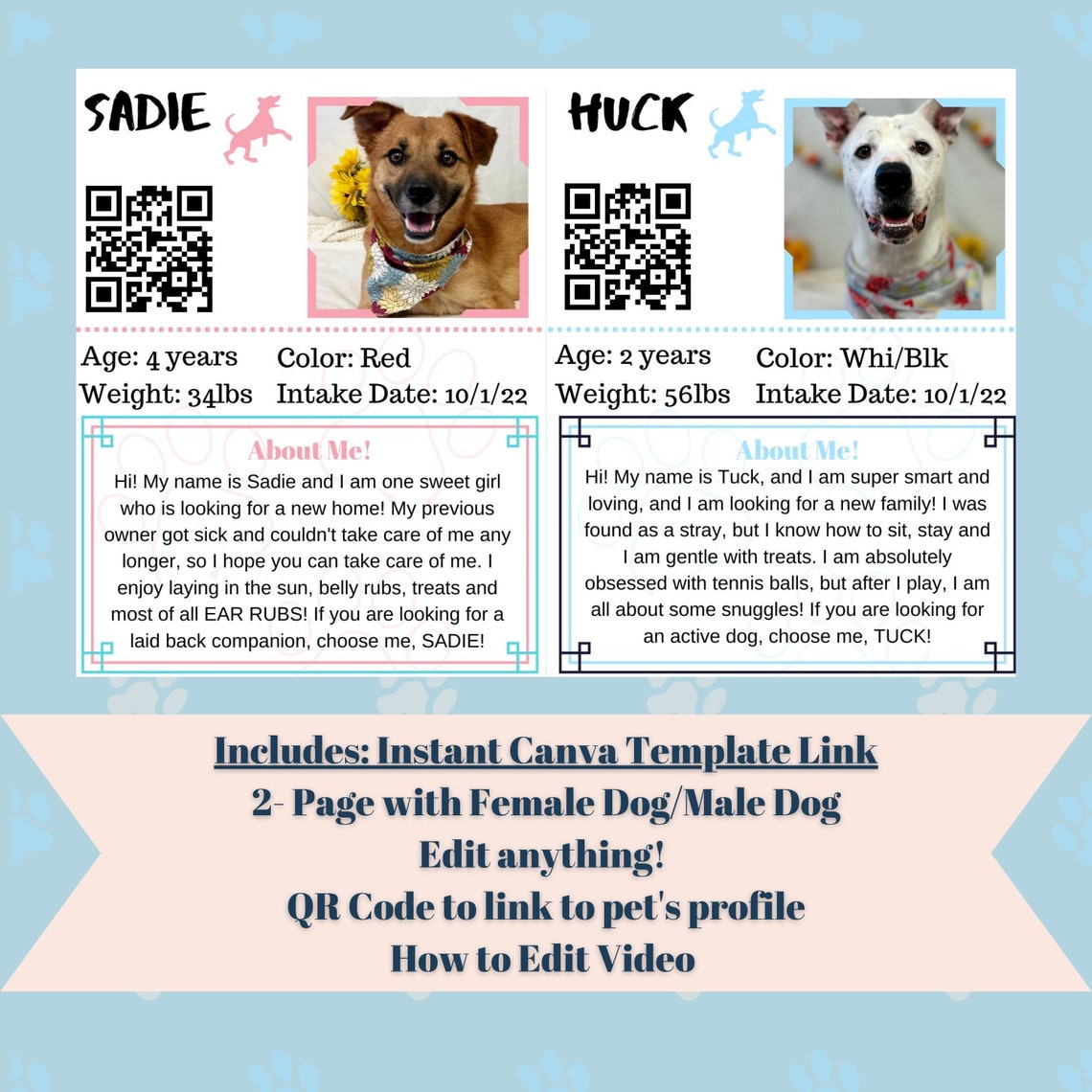 Canva Animal Rescue Printable Kennel Card, Animal Shelter Cage Card ...