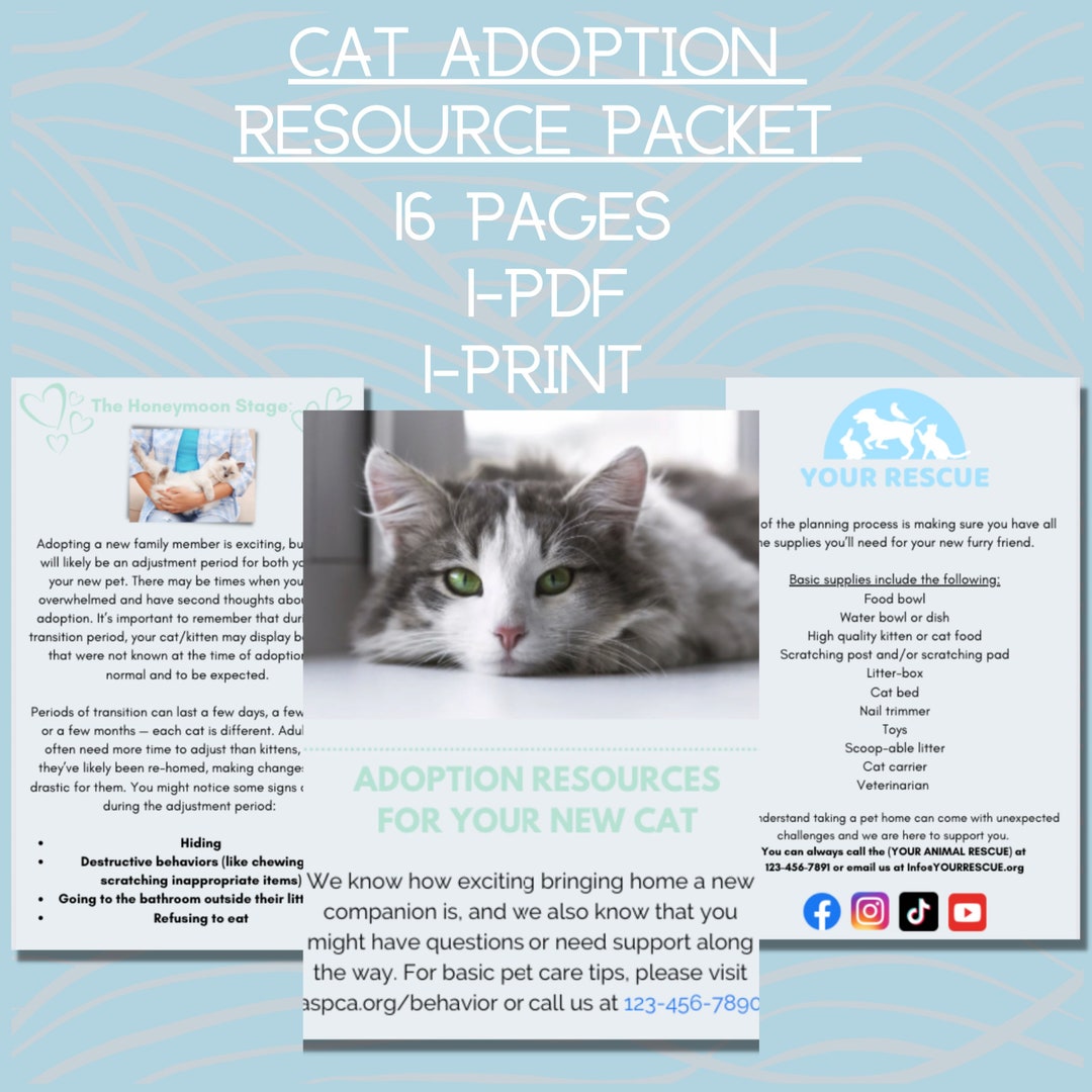 Cat Adoption Resource Packet, Rescue Template (digital Download) - Etsy