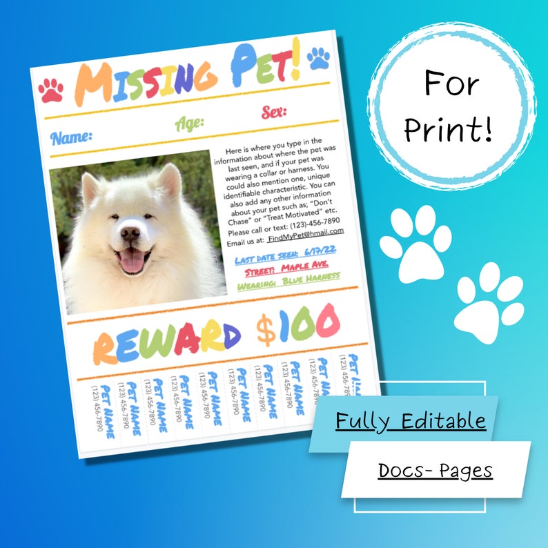 Missing Pet Flyer Template | Missing Pet Poster | Missing Pet Apple ...