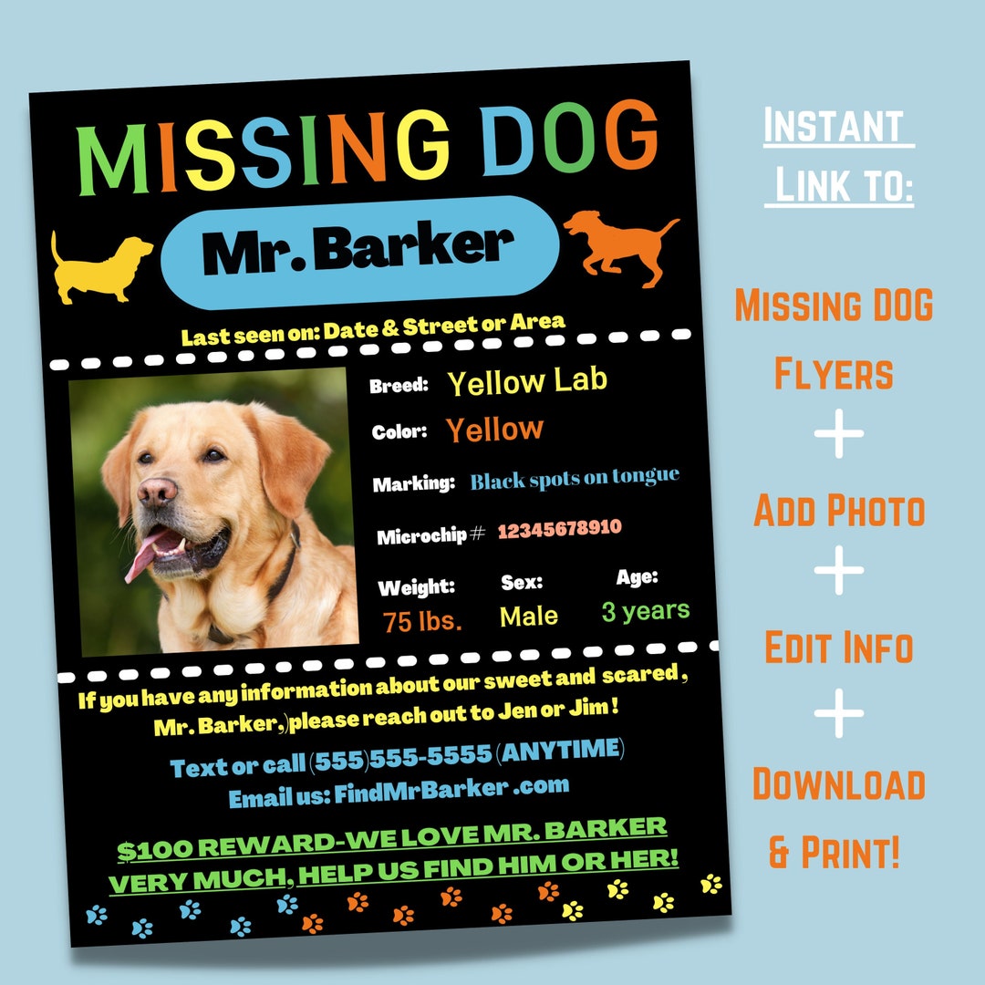 Missing Dog Flyer, Printable Lost Dog Pet Flyer, Digital Download With ...