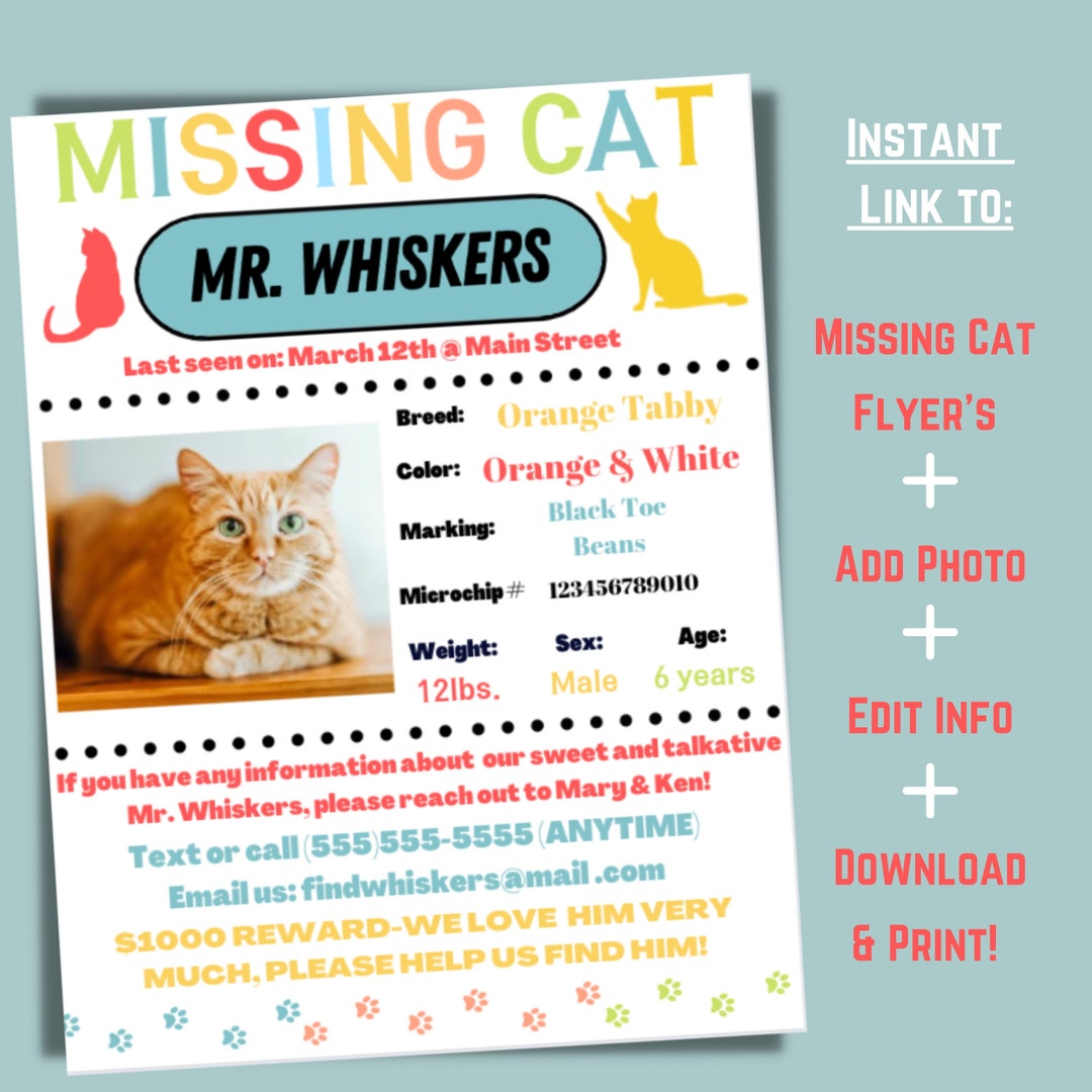 Missing Cat Flyer, Canva Missing Pet Template, Digital Downloads ...