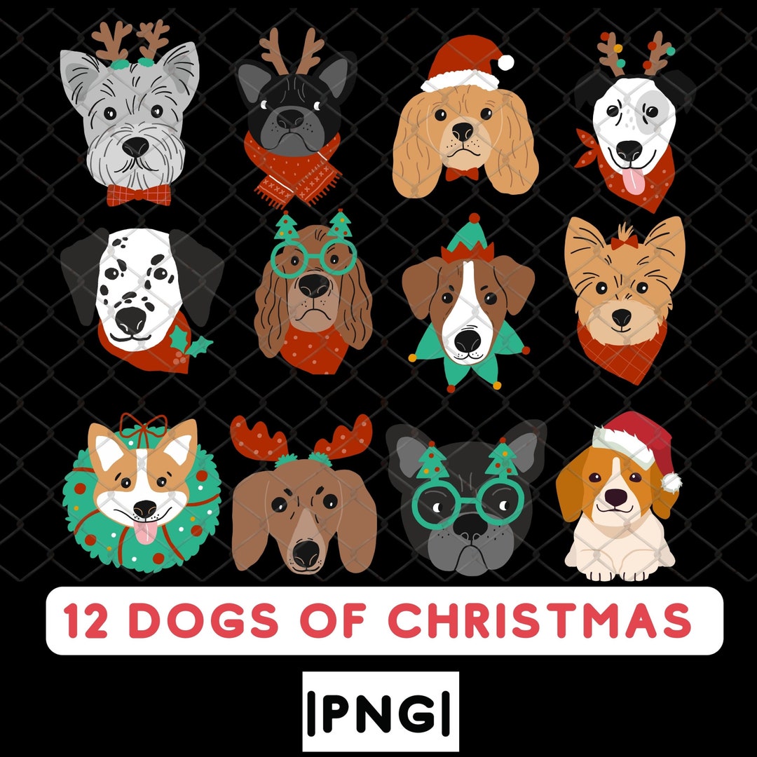Dog Rescue, Christmas Dogs | Festive Dogs | PNG Christmas Clipart Dogs ...