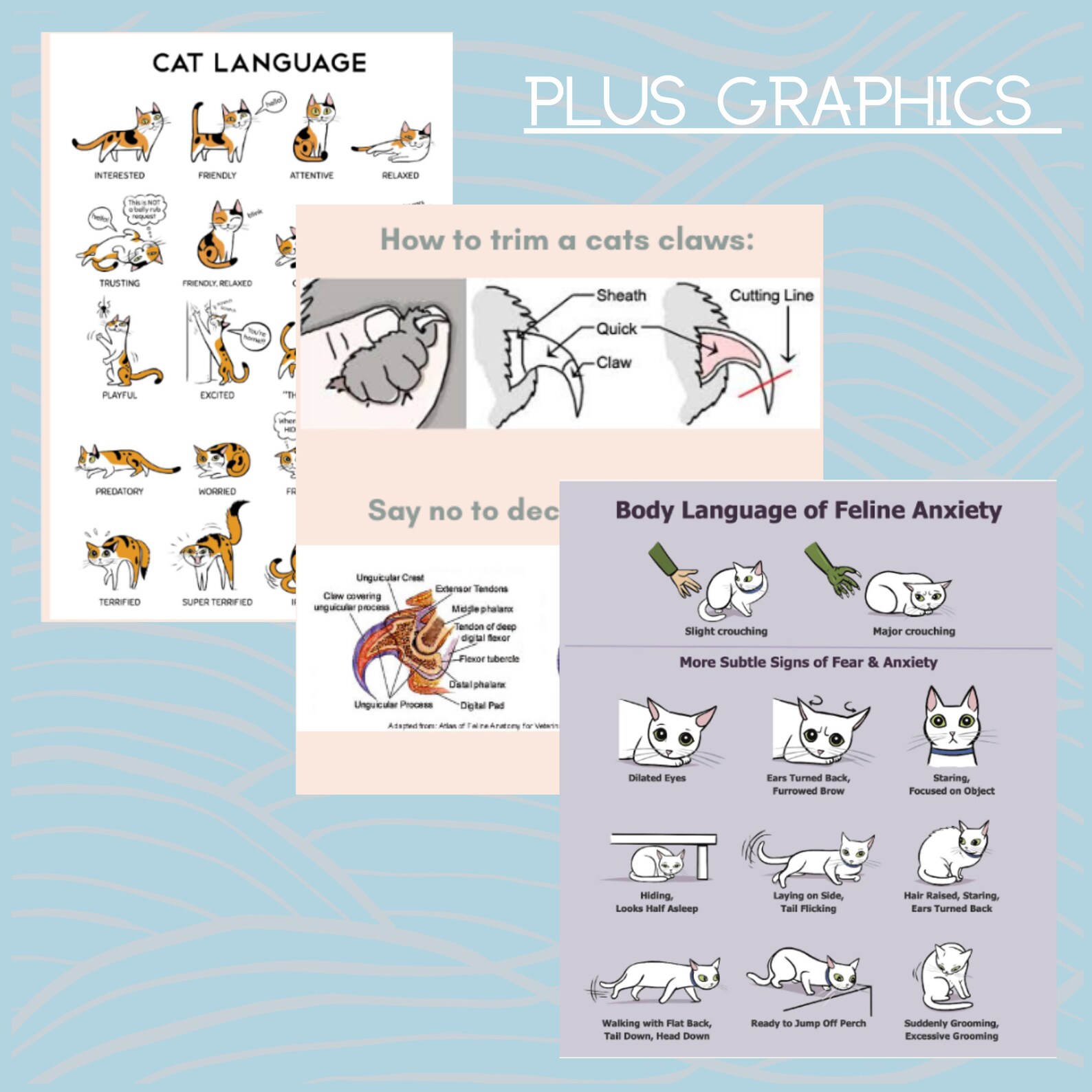 Cat Adoption Resource Packet, Rescue Template (digital Download) - Etsy