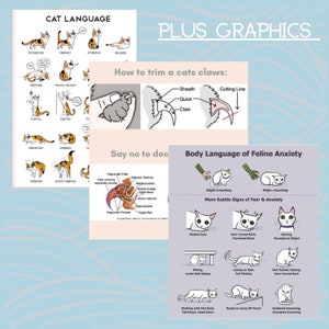 Cat Adoption Resource Packet, Cat Adoption Template, Cat Adoption ...