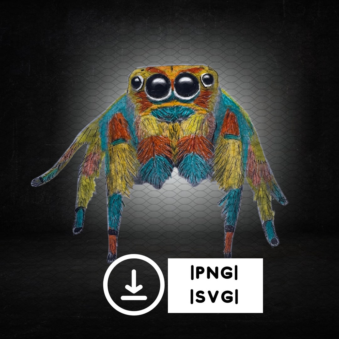 Cute Jumping Spider | Jumping Spider Clipart | Instant Digital Download ...