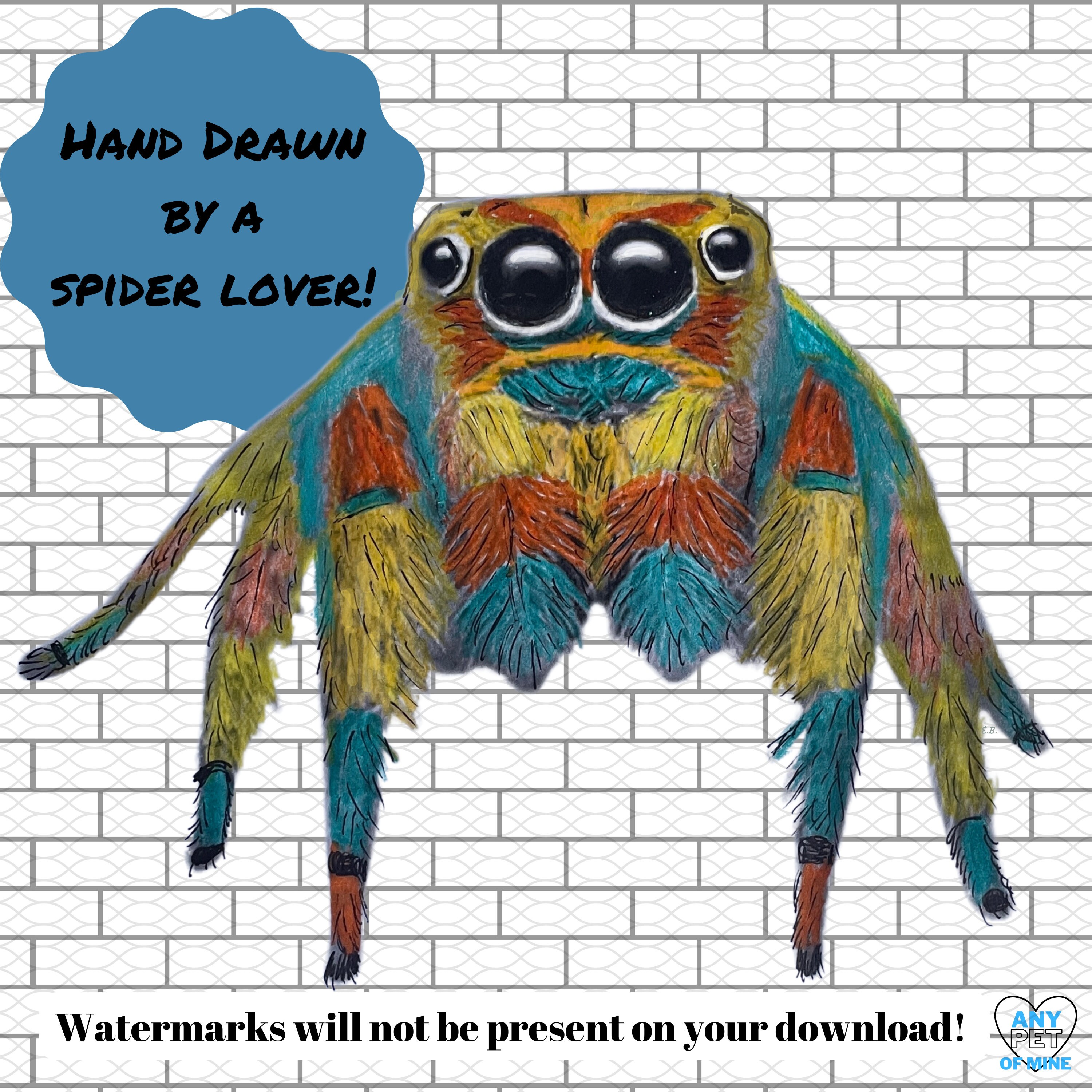 Cute Jumping Spider Jumping Spider Clipart Instant Digital Download ...