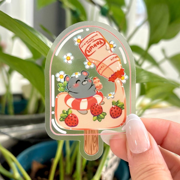 Transparent Vinyl - Etsy