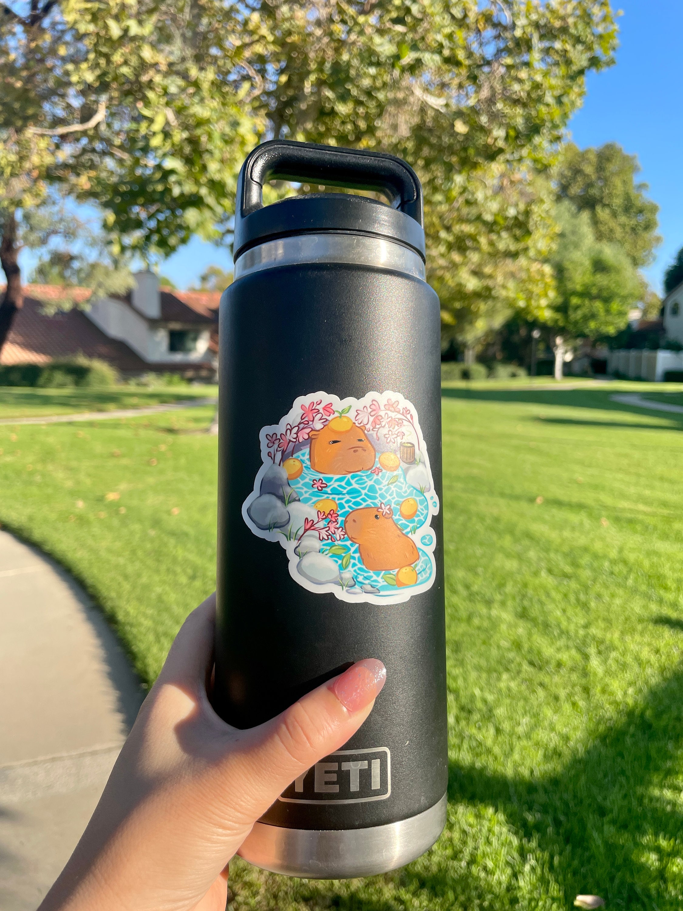 Cute Capybara Vinyl Sticker Capybara Decal capybara Gift - Etsy