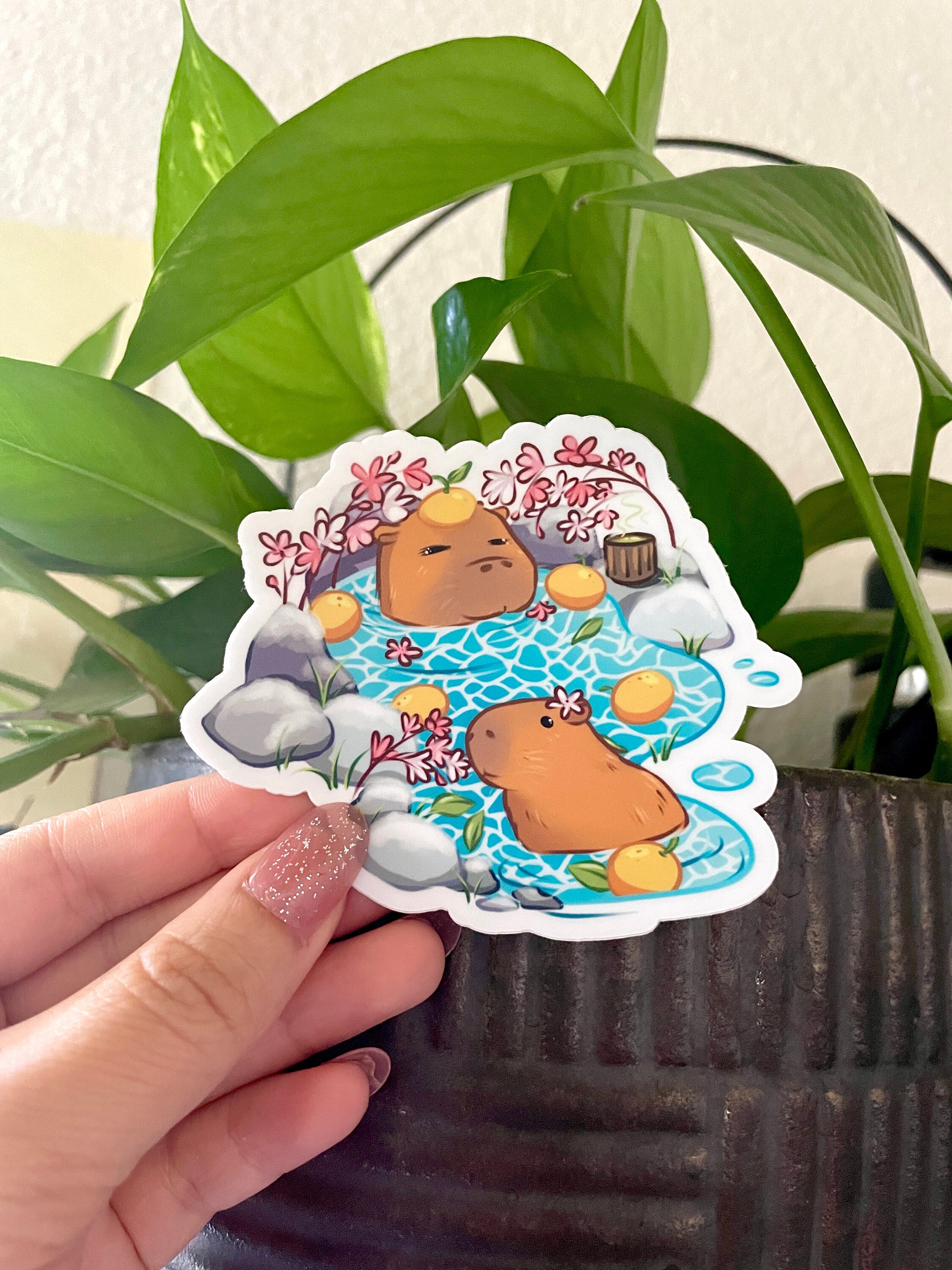 Cute Capybara Vinyl Sticker Capybara Decal capybara Gift - Etsy
