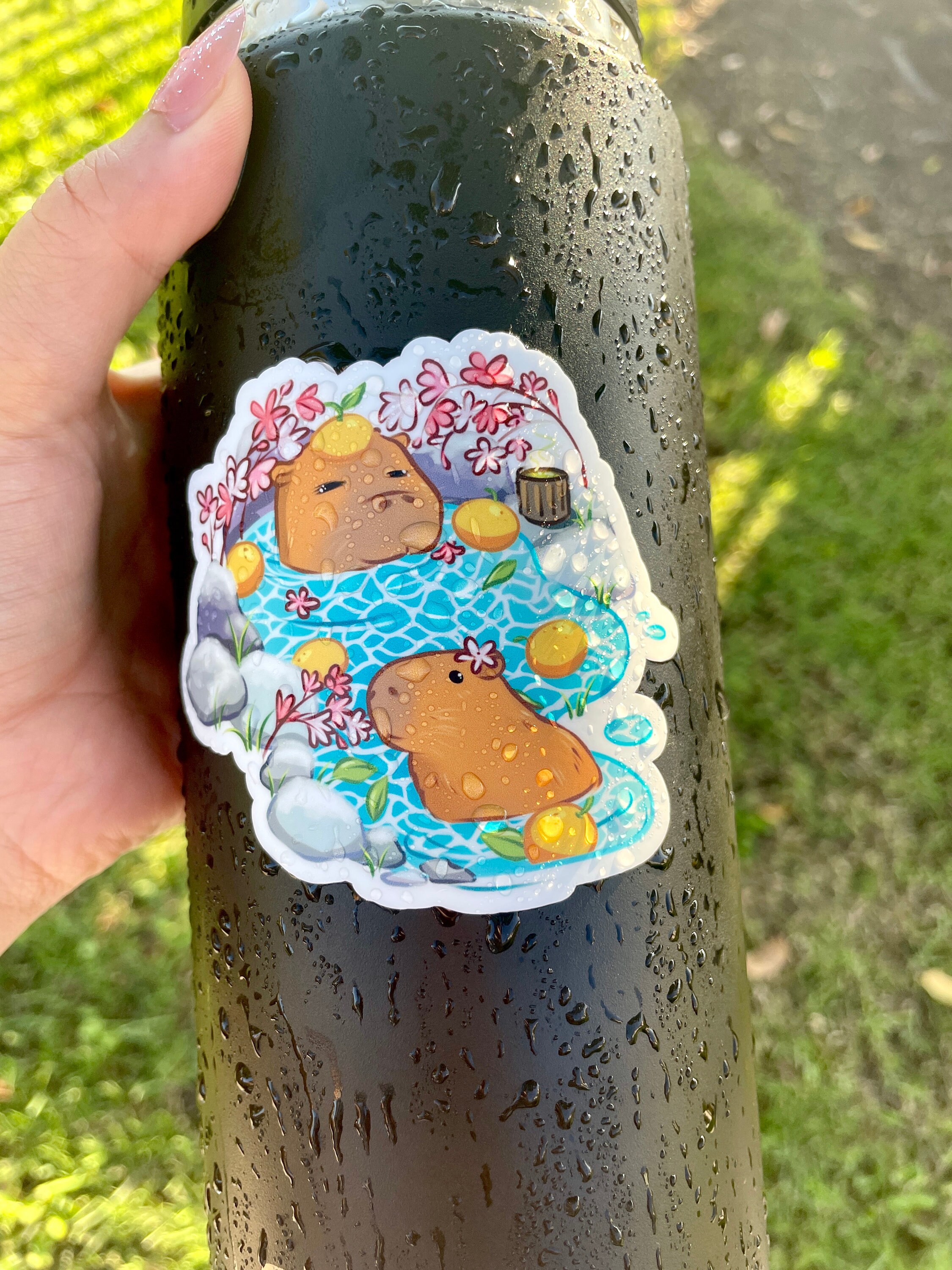 Cute Capybara Vinyl Sticker Capybara Decal capybara Gift - Etsy