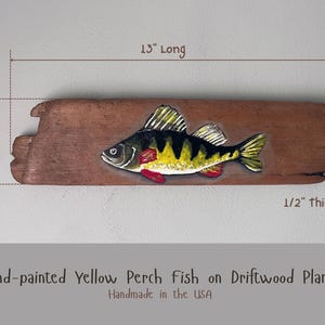 Hand-painted Yellow Perch Fish Painting on Driftwood - Beach Home Decor ...
