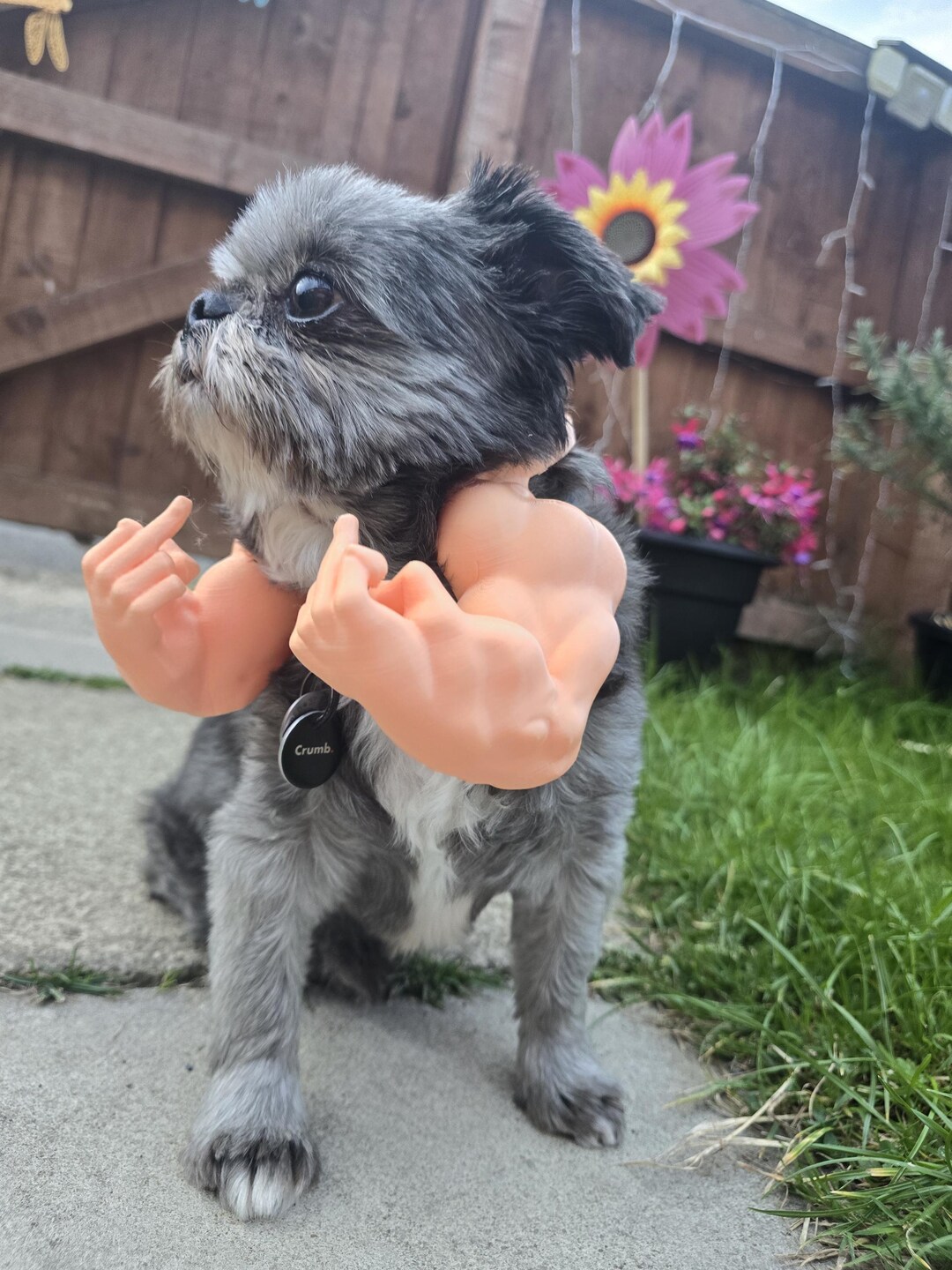 3D Printed Pet "hulk" Arms Costume Rude Funny Cat & Dog Cosplay Middle ...