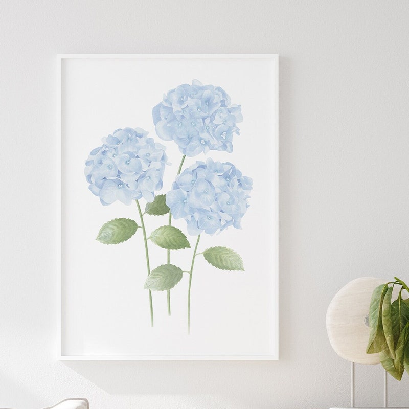 Hydrangea Print - Etsy