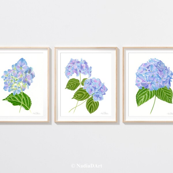 Hydrangea Print - Etsy