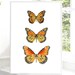 Monarch Butterfly Wall Art Monarch Print Monarch Butterfly Print ...